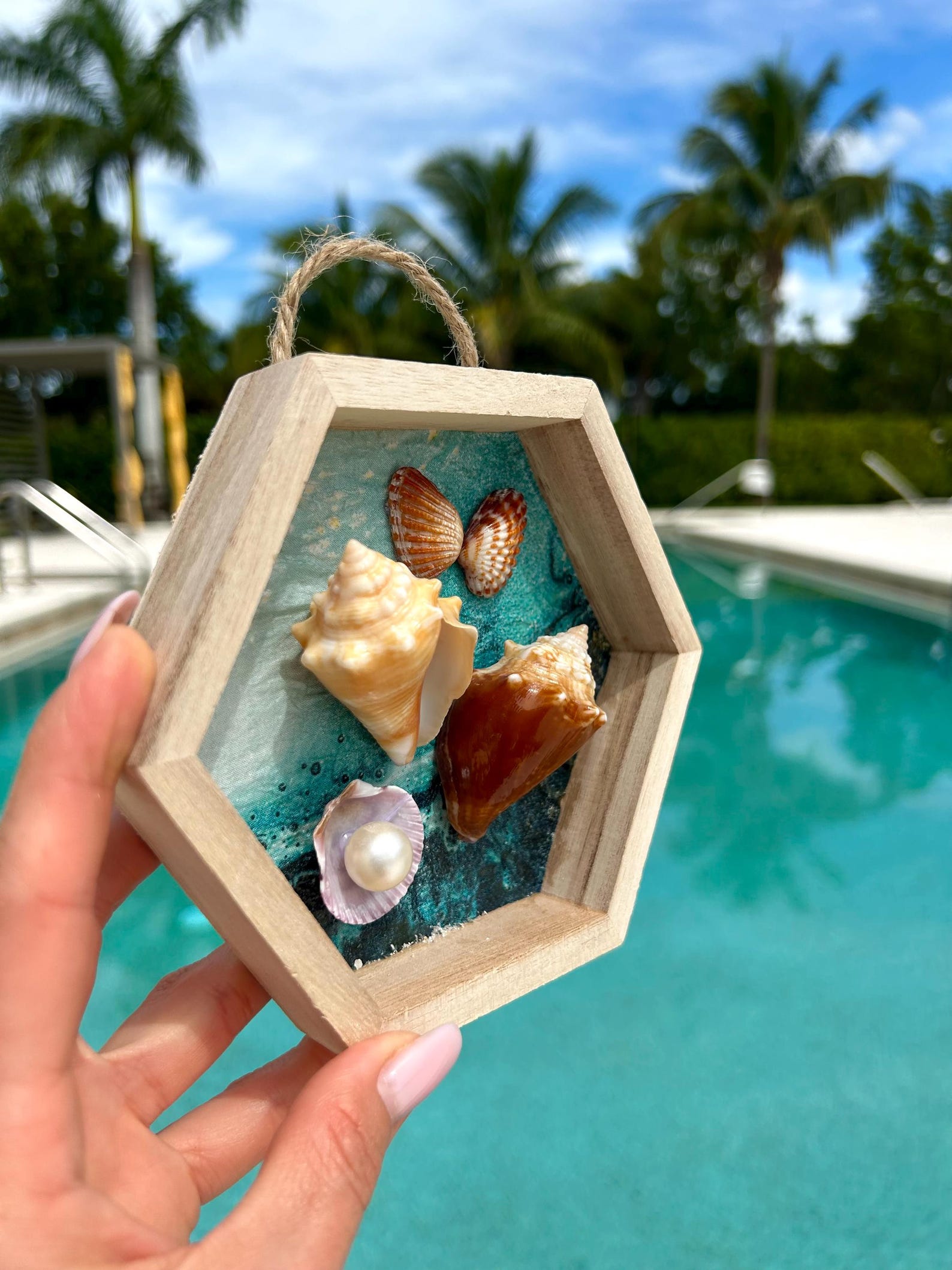 Natural Seashell Shadow Box | Florida Fighting Conch Beach Scene Shadow ...