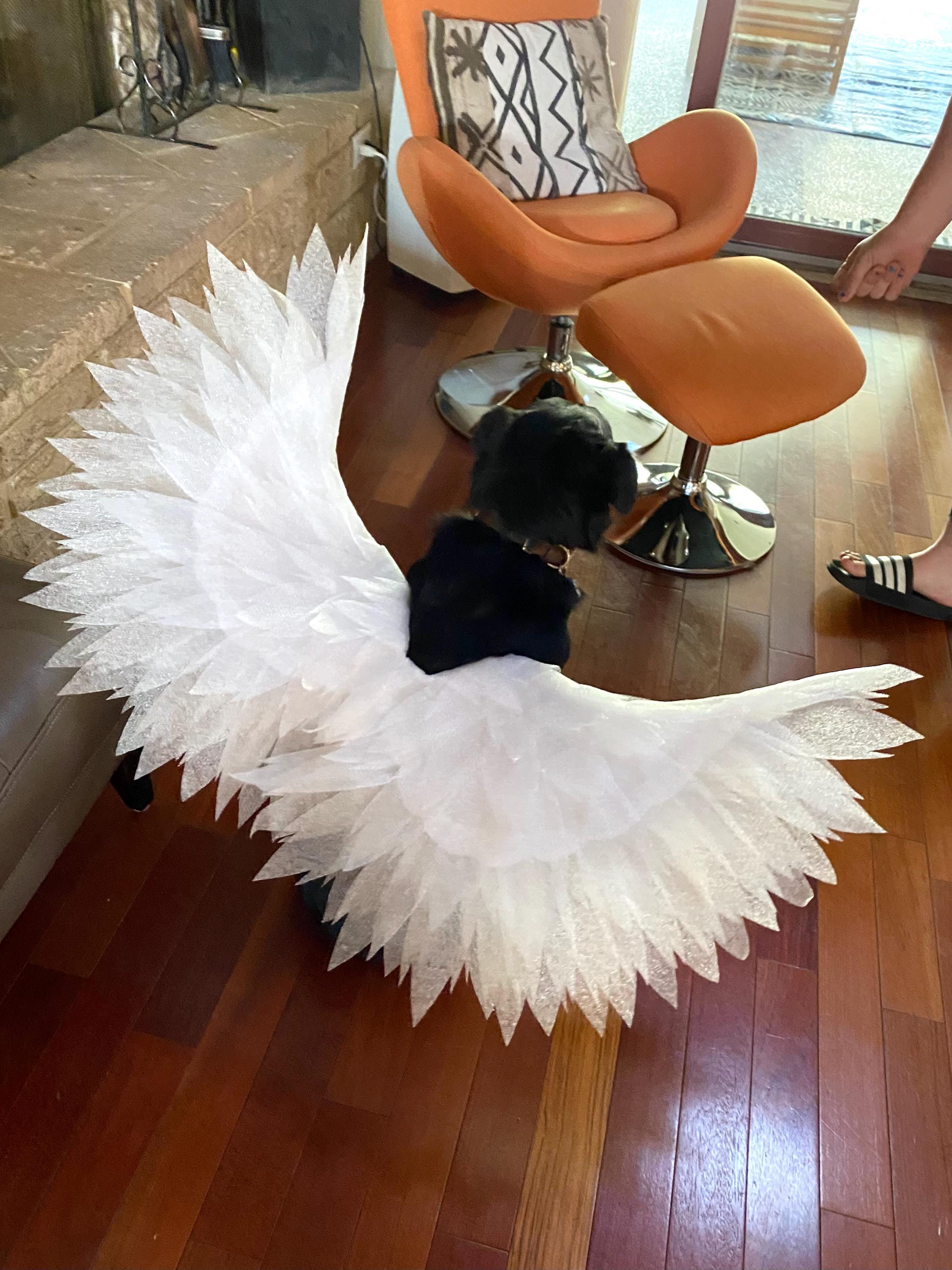 Halloween Wings for Dogs | White Angel Wings | Halloween Dog Wings ...