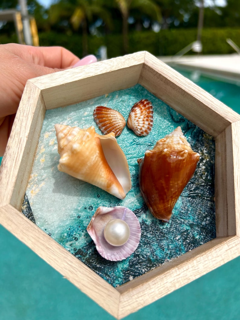 Natural Seashell Shadow Box | Florida Fighting Conch Beach Scene Shadow Box | Beach Lover Gift ...