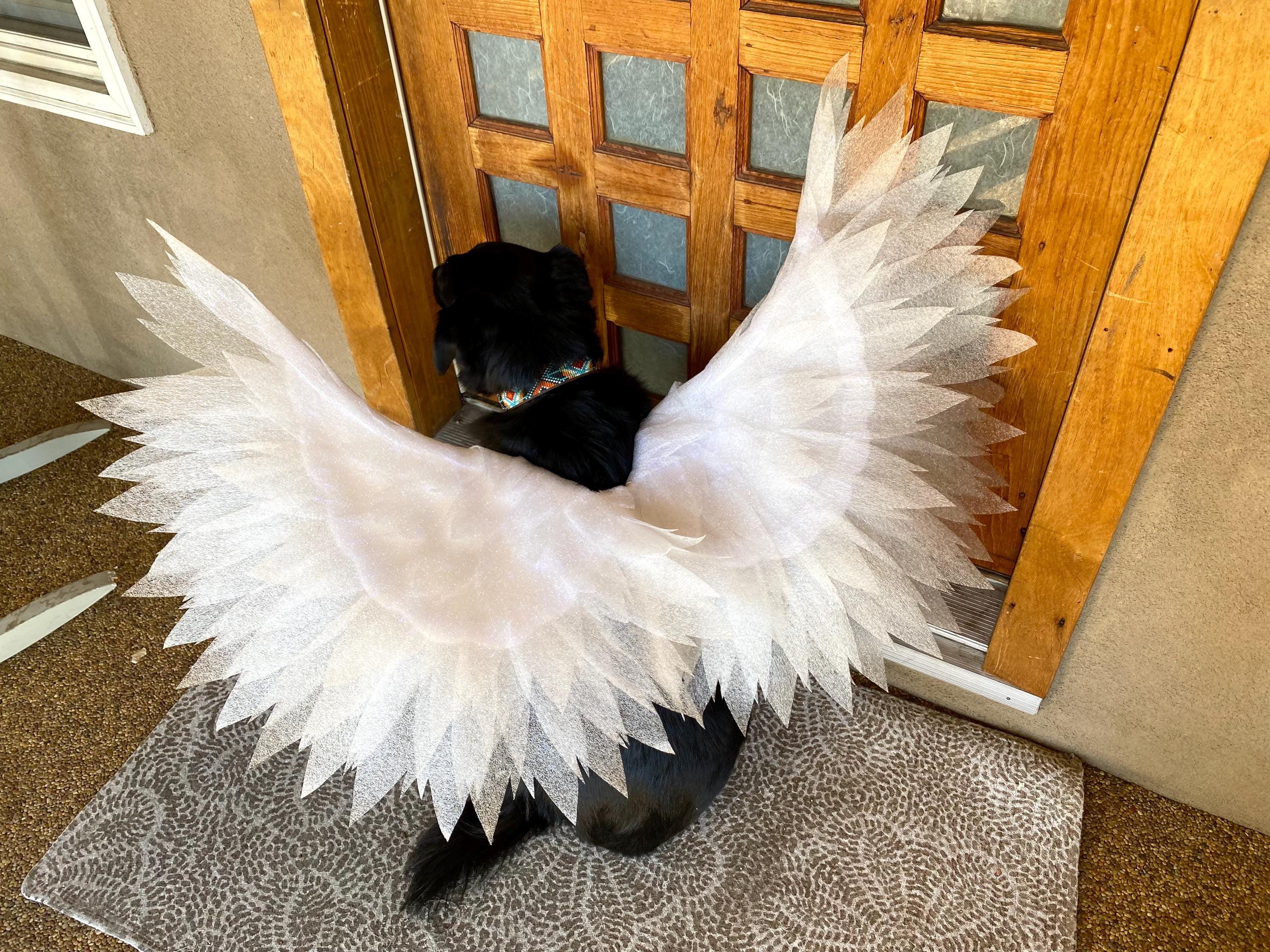 Halloween Wings for Dogs | White Angel Wings | Halloween Dog Wings ...