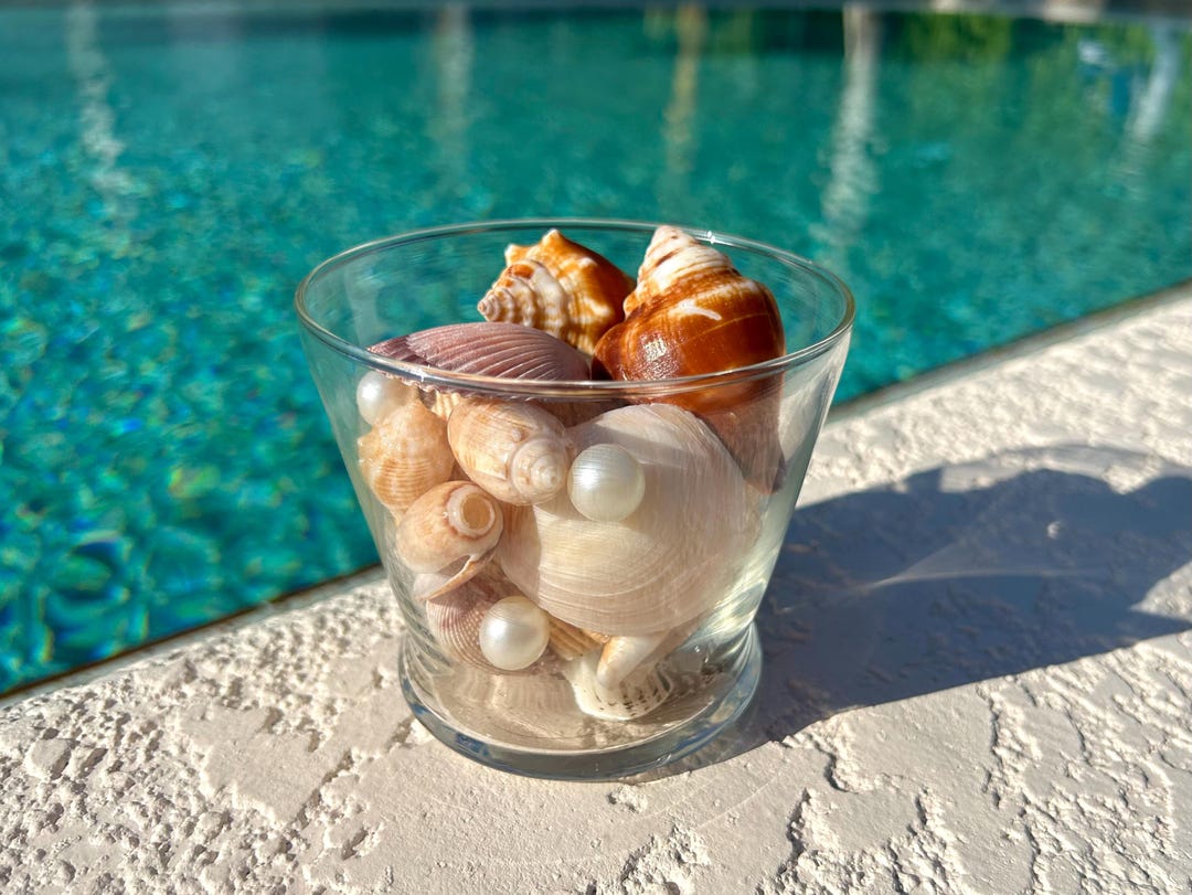 Natural Seashell Kit in Glass Vase | Beach Wedding Decor | Assorted ...
