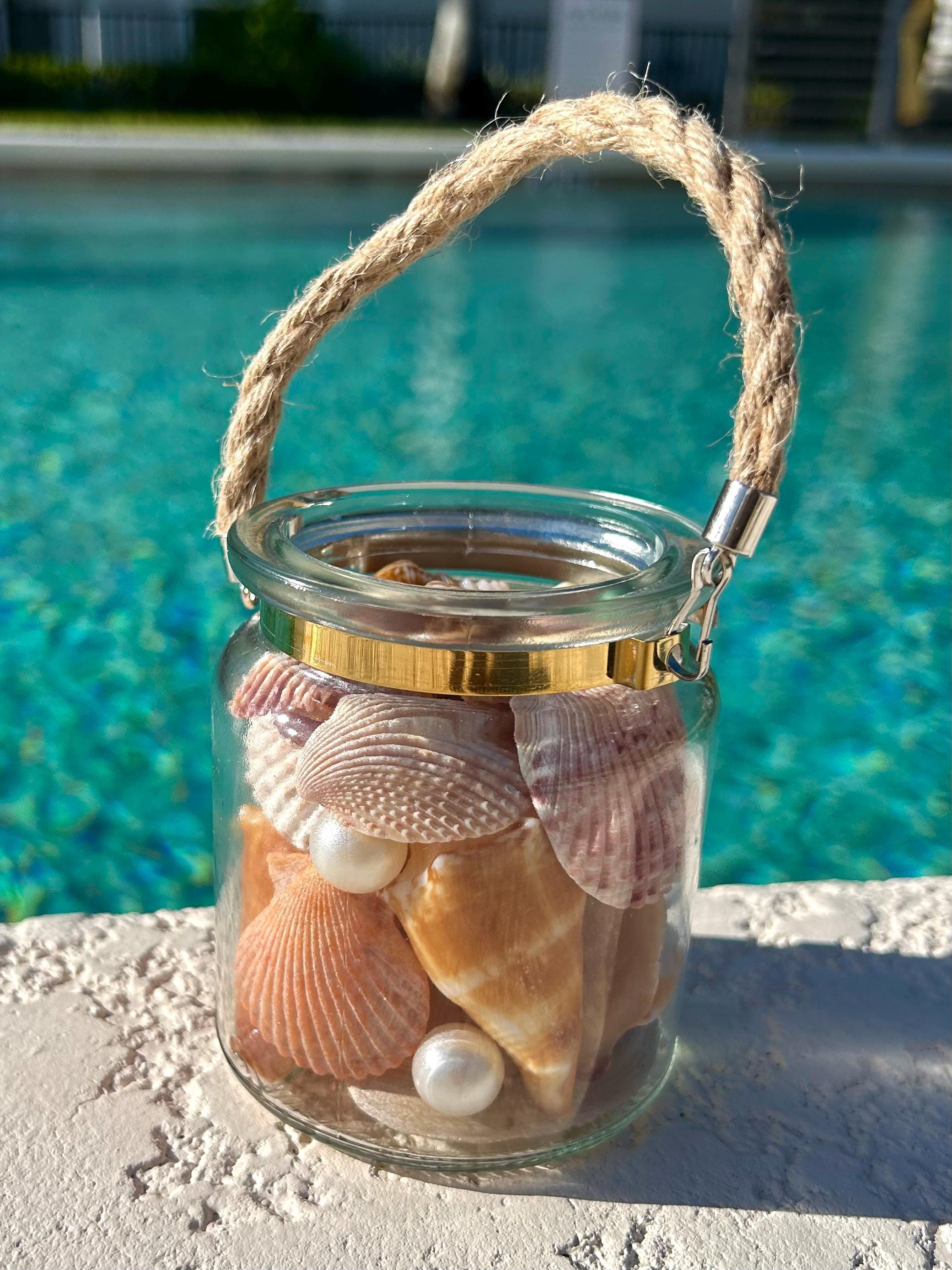 Natural Seashell Kit in Glass Vase | Beach Wedding Decor | Assorted ...