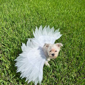 Halloween Dog Wings White Angel Wings for Dogs Cosplay Angel Wings ...