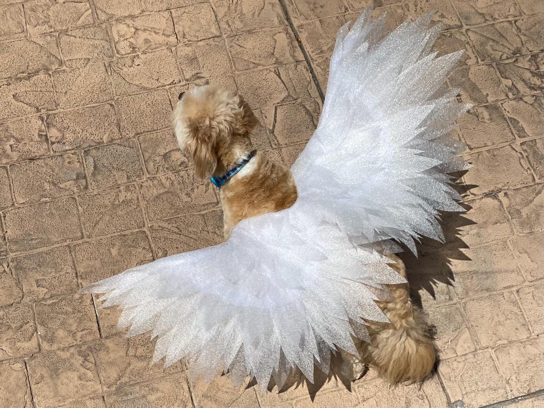 Halloween Dog Wings | White Angel Wings for Dogs | Cosplay Angel Wings ...