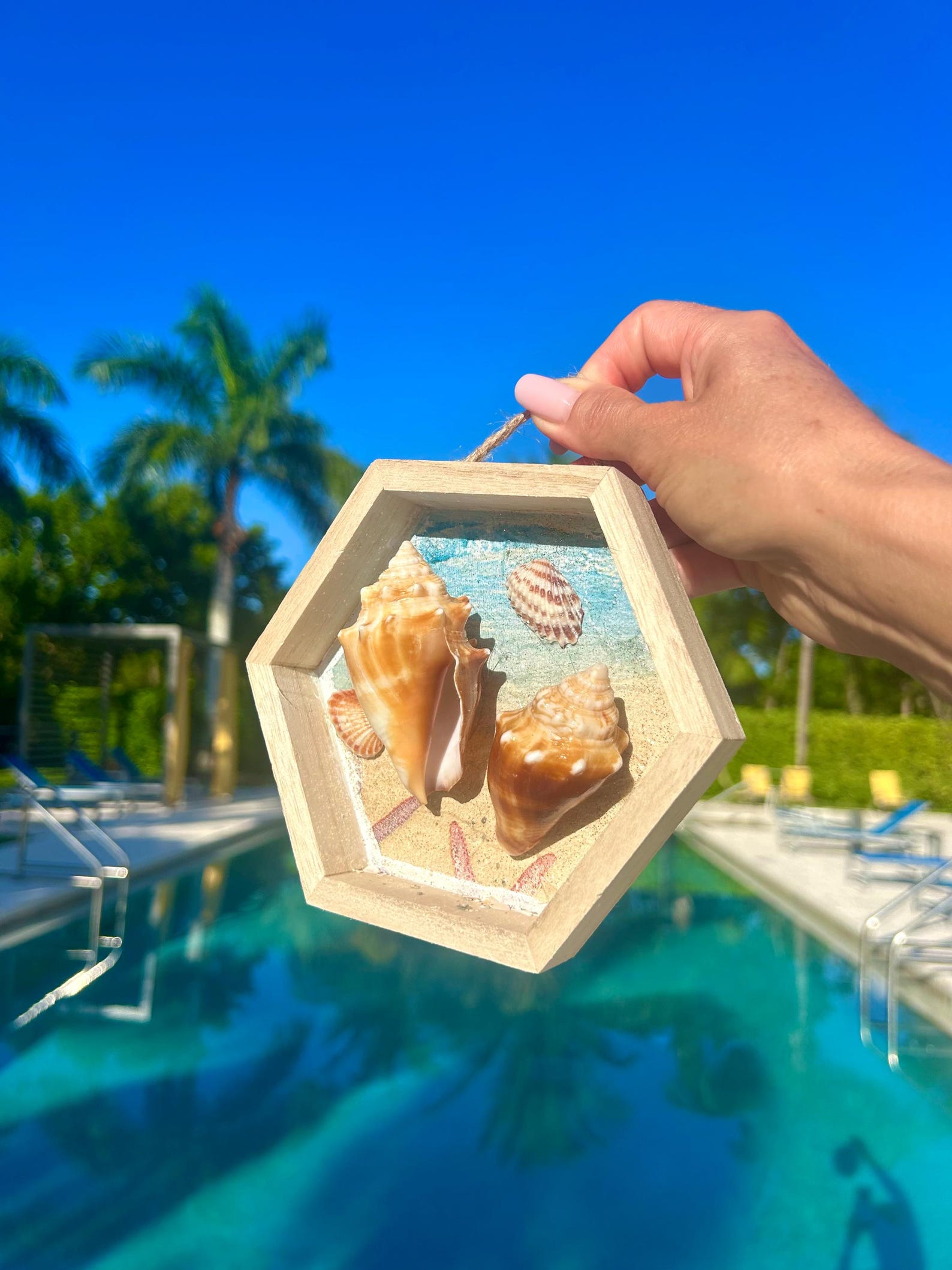 Personalized Seashell Shadow Box | Florida Fighting Conch Beach Scene ...