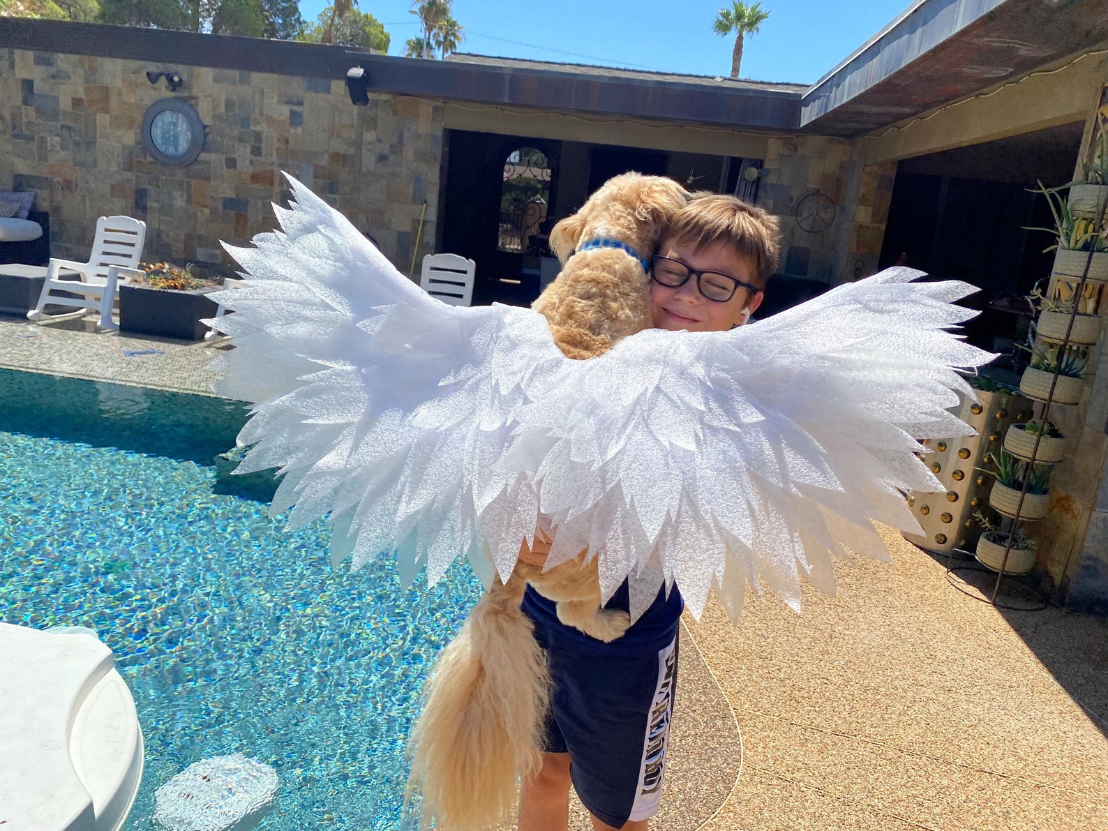 Cosplay Angel Wings | White Angel Wings for Dogs | Halloween Dog Wings ...