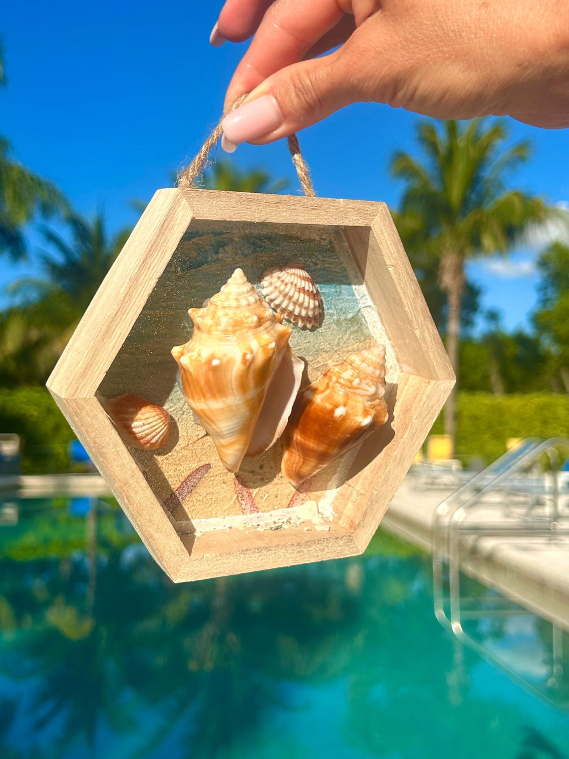 Personalized Seashell Shadow Box | Florida Fighting Conch Beach Scene ...