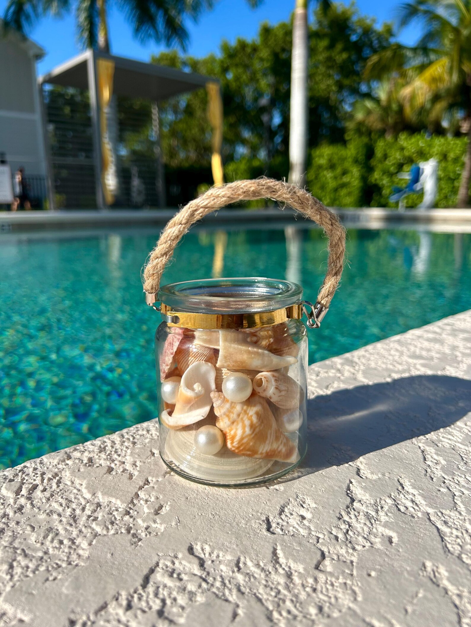 Natural Seashell Kit in Glass Vase | Beach Wedding Decor | Assorted ...
