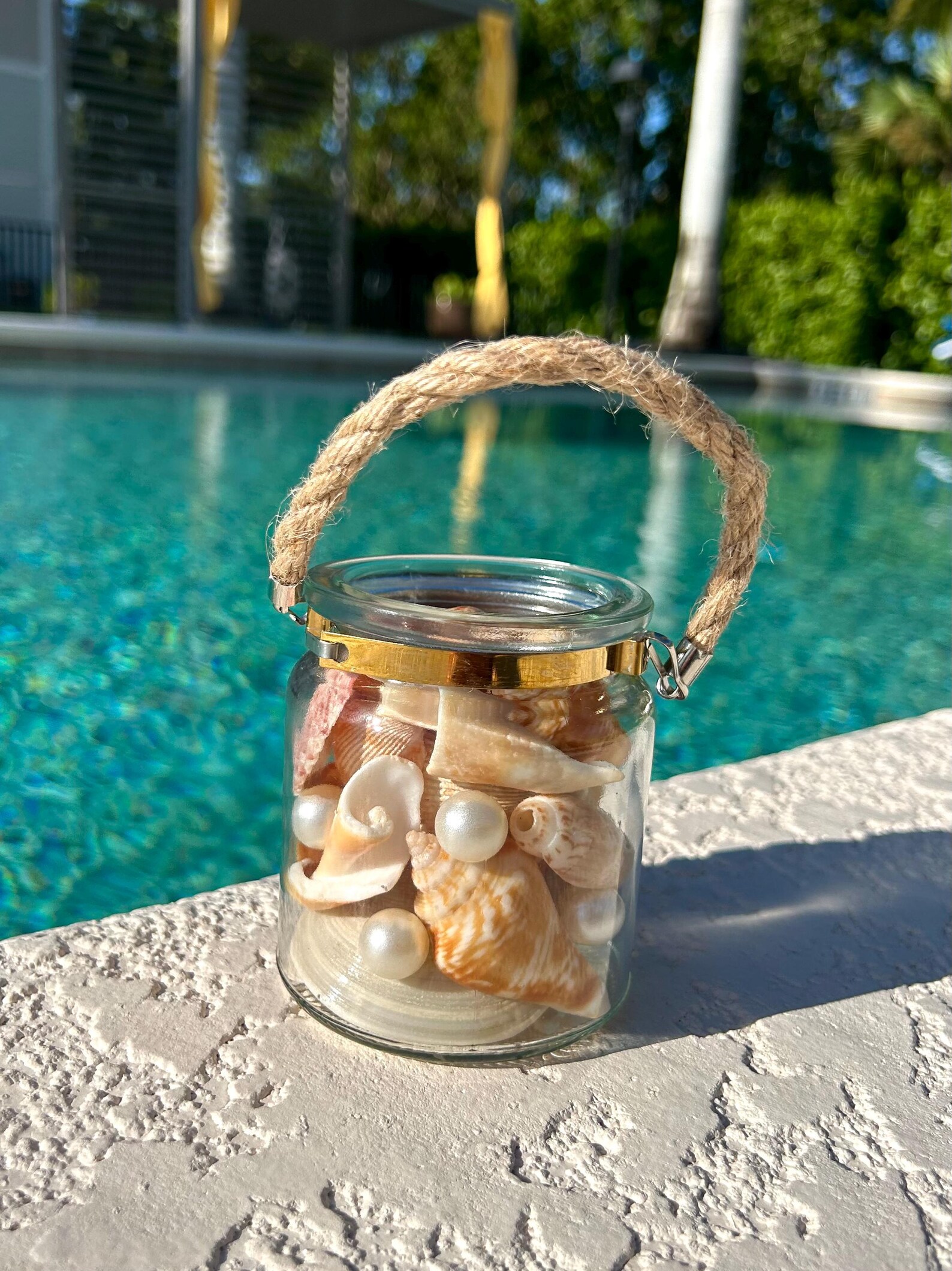 Natural Seashell Kit in Glass Vase | Beach Wedding Decor | Assorted ...
