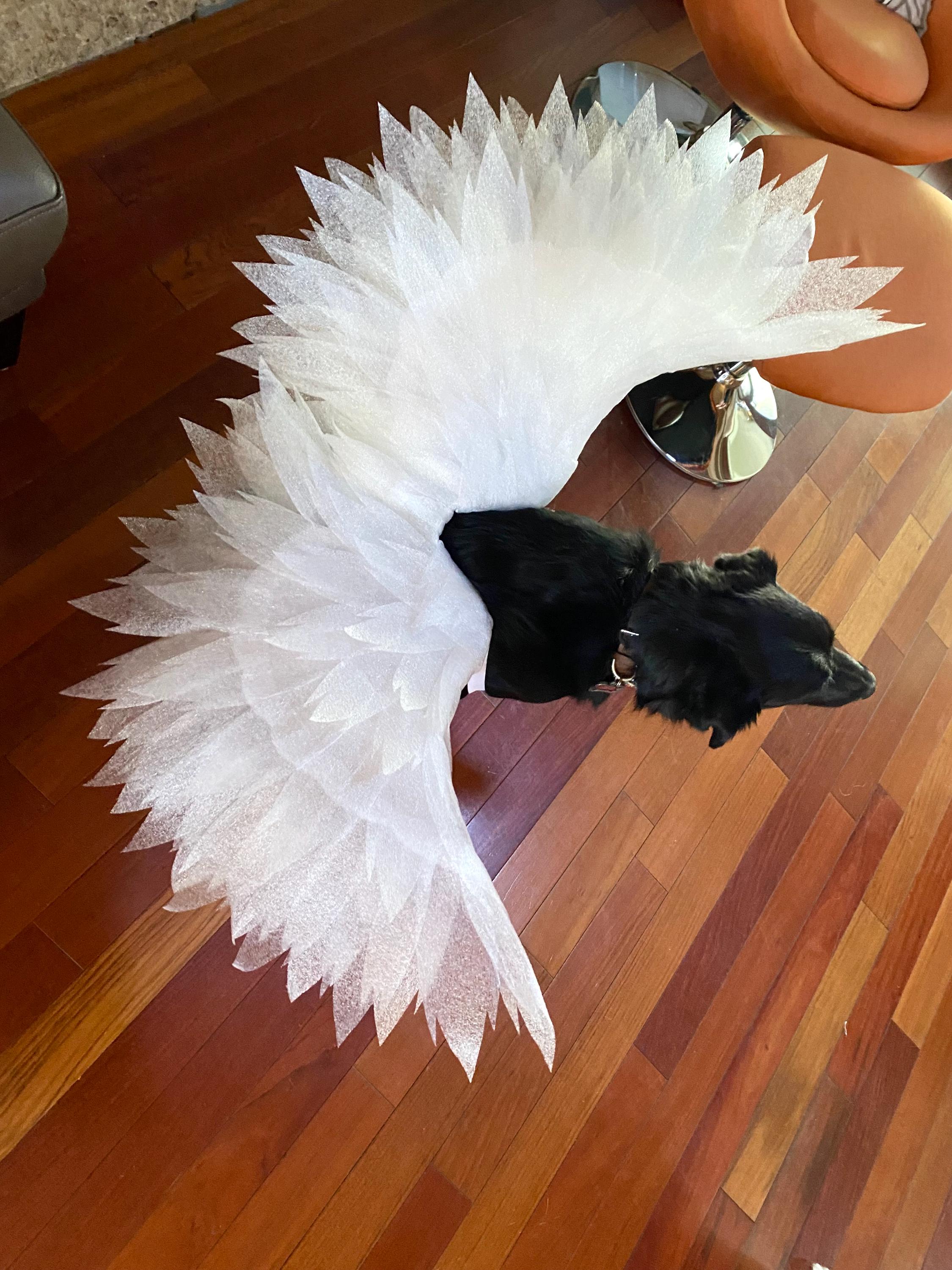 White Angel Wings for Pets - Handmade Costume Accessory | Halloween ...
