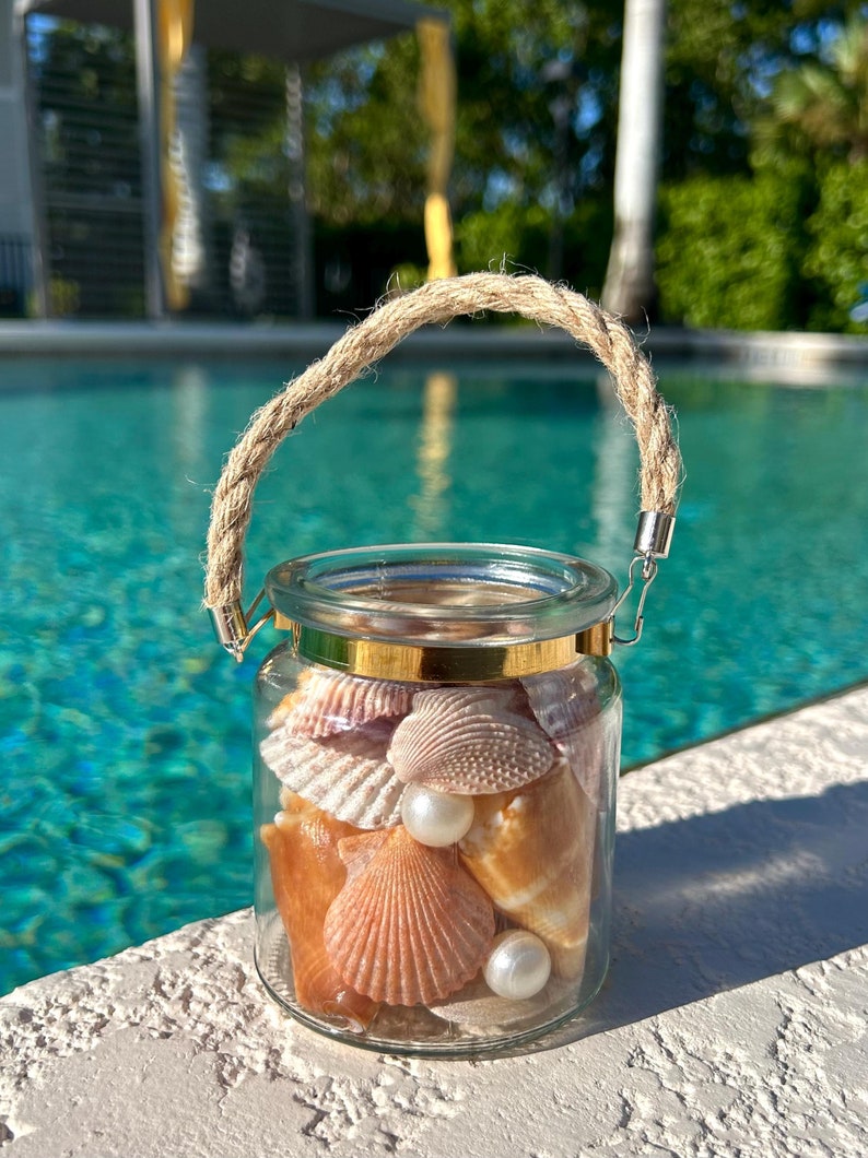 Natural Seashell Kit in Glass Vase | Beach Wedding Decor | Assorted ...