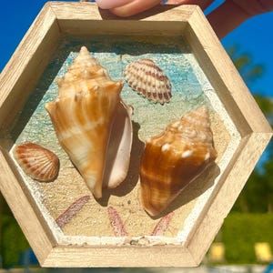 Personalized Beach Scene Shadow Box | Hanging Shell Decor | Seashell ...