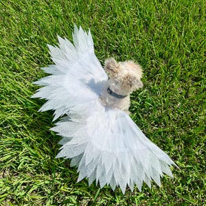 Angel Dog Costume | Dog Halloween Costume | White Angel Wings for Dogs ...