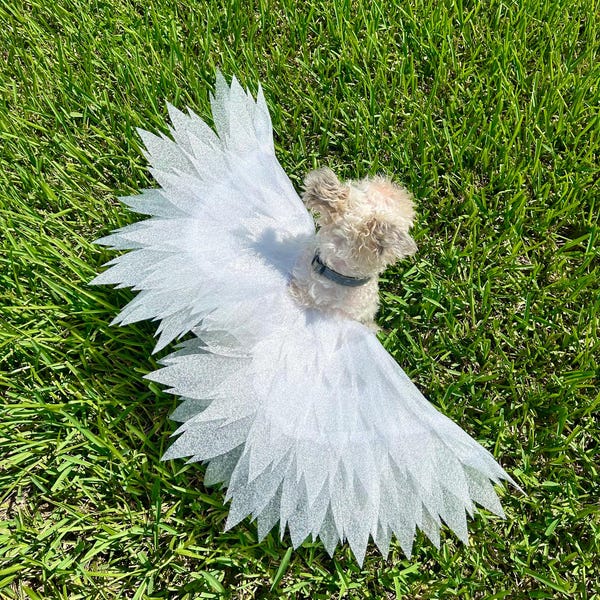 Halloween Dog Wings White Angel Wings for Dogs Cosplay Angel Wings ...