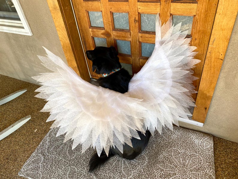 Angel Dog Costume | Dog Halloween Costume | White Angel Wings for Dogs ...
