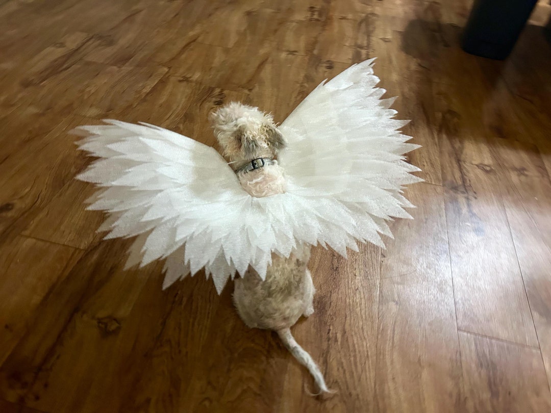 Halloween Dog Wings | White Angel Wings for Dogs | Cosplay Angel Wings ...