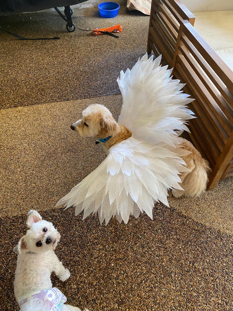 Halloween Dog Wings | White Angel Wings for Dogs | Cosplay Angel Wings ...