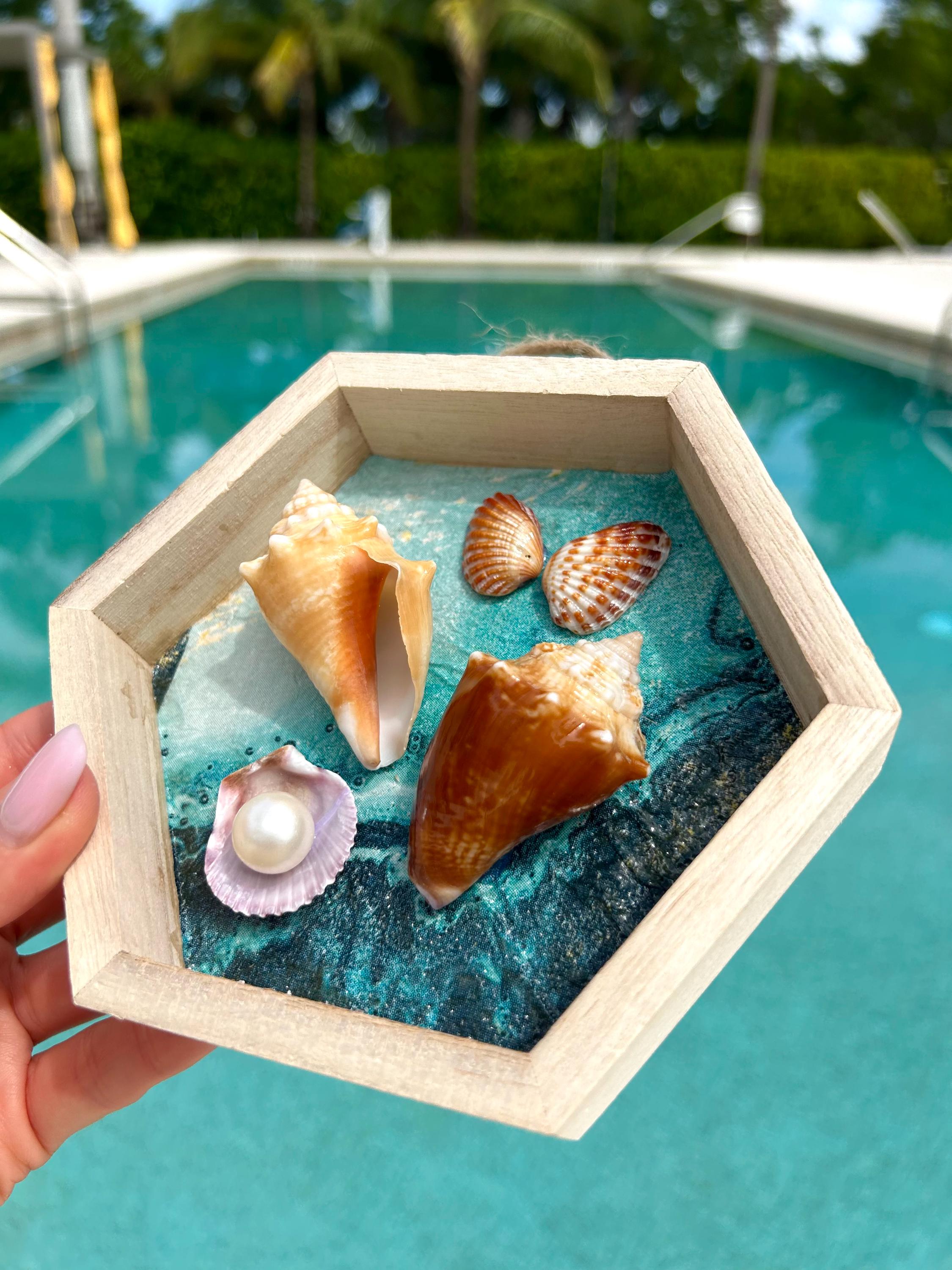 Natural Seashell Shadow Box | Florida Fighting Conch Beach Scene Shadow ...