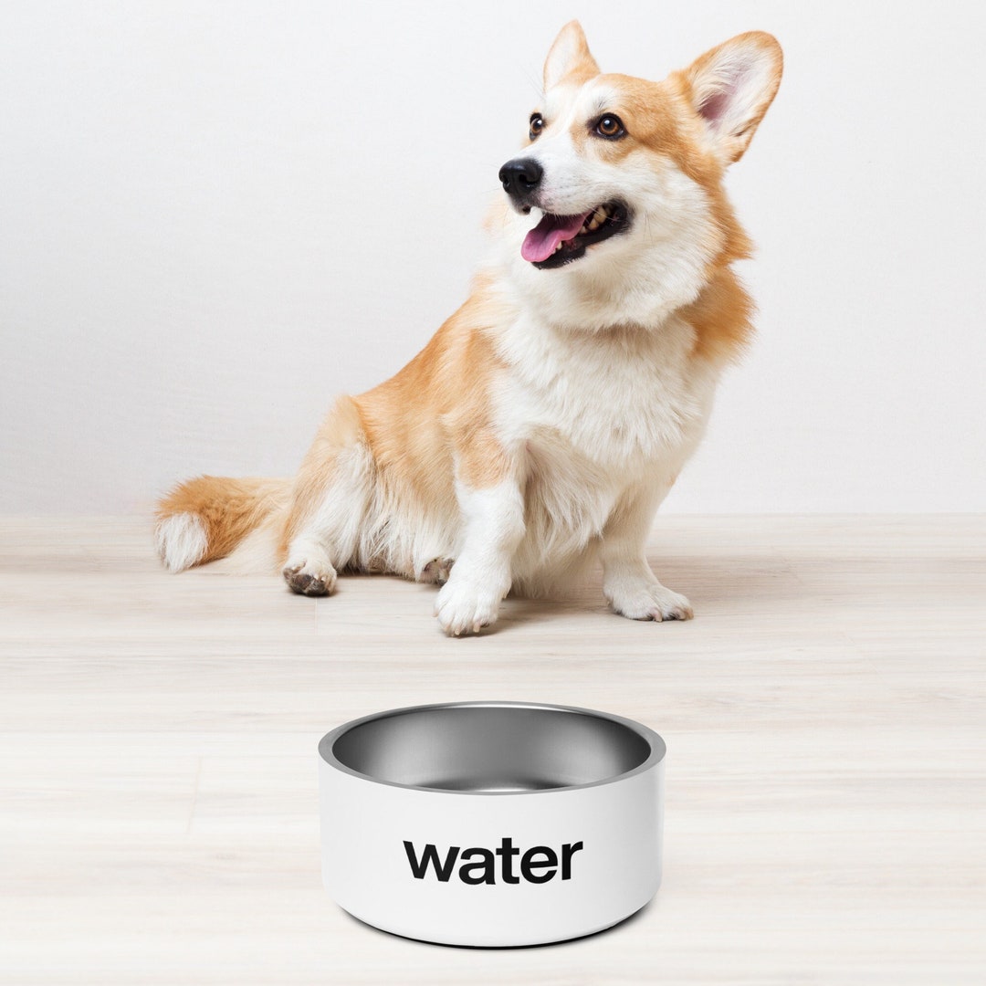 Water - Dog Bowl Cat Bowl Pet Bowl - Etsy