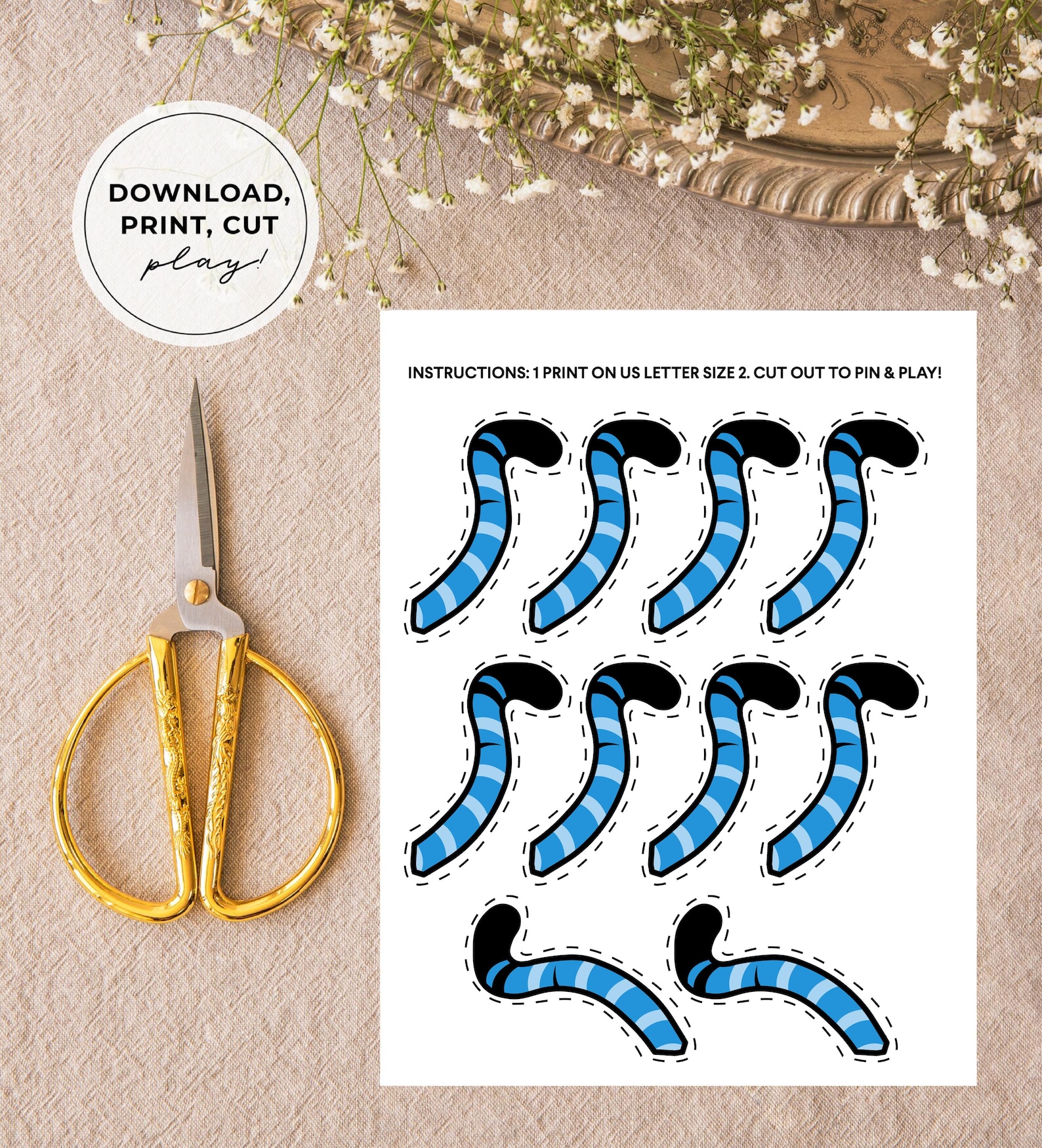 Kpop Demon Hunter Pin the Tail on Derpy the Tiger | Printable Party ...