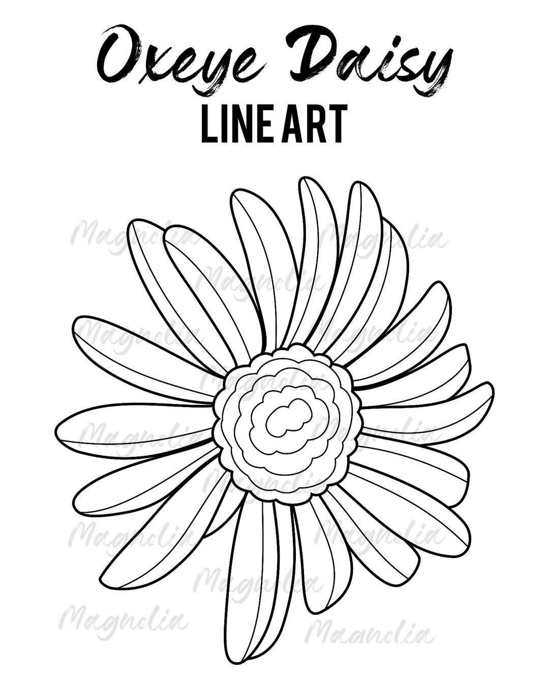 Oxeye Daisy Line Art, Flower PNG, Flowers, Daisies, Line Art, Digital ...
