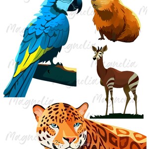Tropical Adventure Clipart Bundle, Animals PNG, Butterfly, Taucan ...