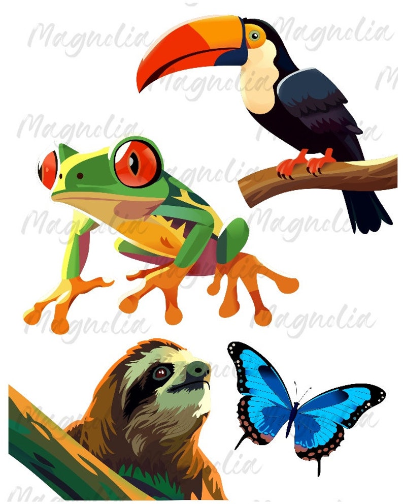 Tropical Adventure Clipart Bundle, Animals PNG, Butterfly, Taucan ...