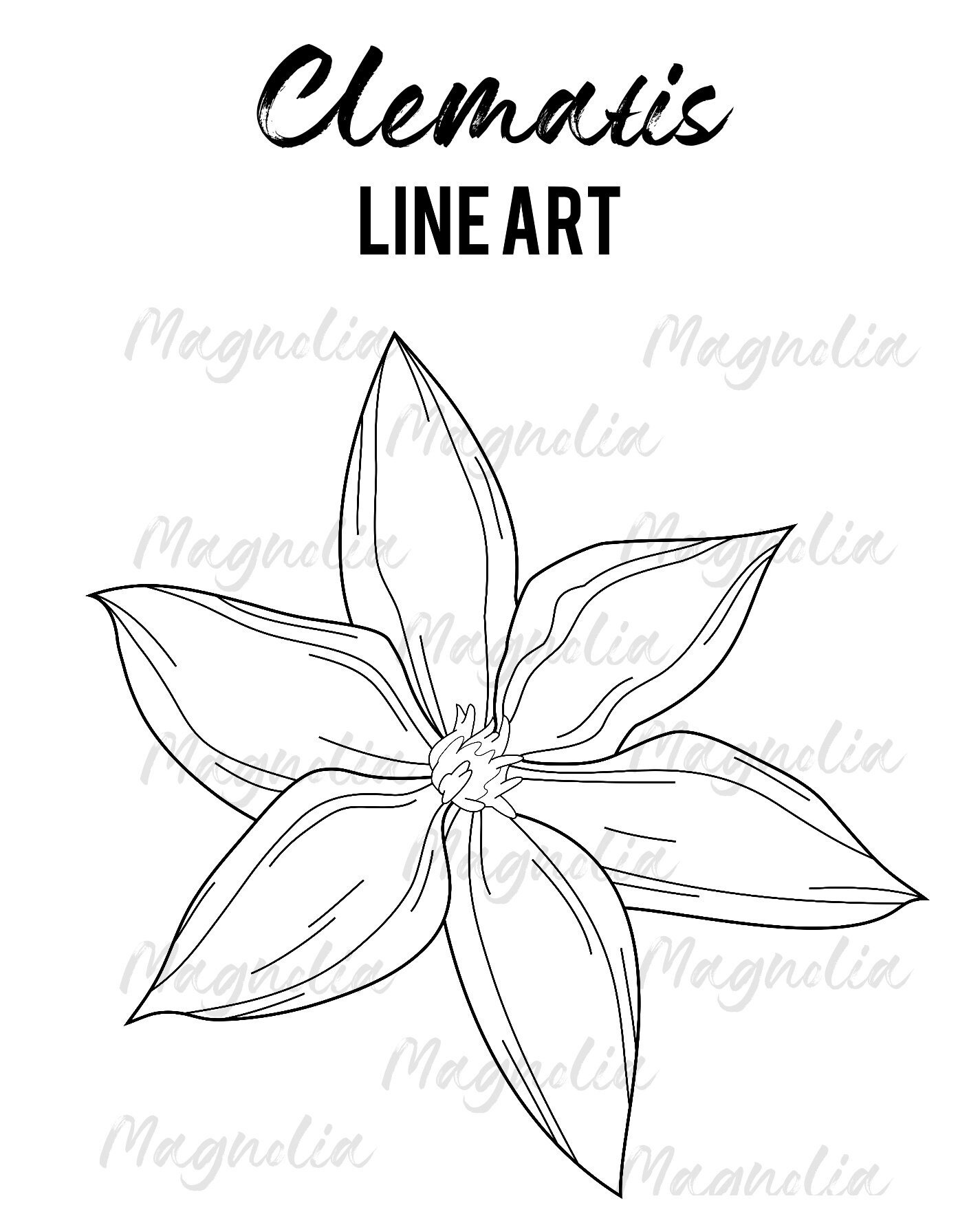 Clematis Line Art, Flower PNG, Flowers, Clematis, Line Art, Digital ...