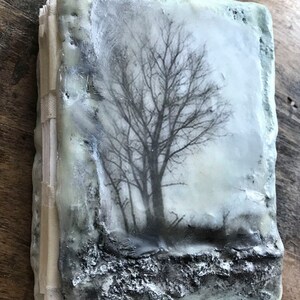 Instructional Online Tutorial Class, "the Makings of a Plaster and Wax ...