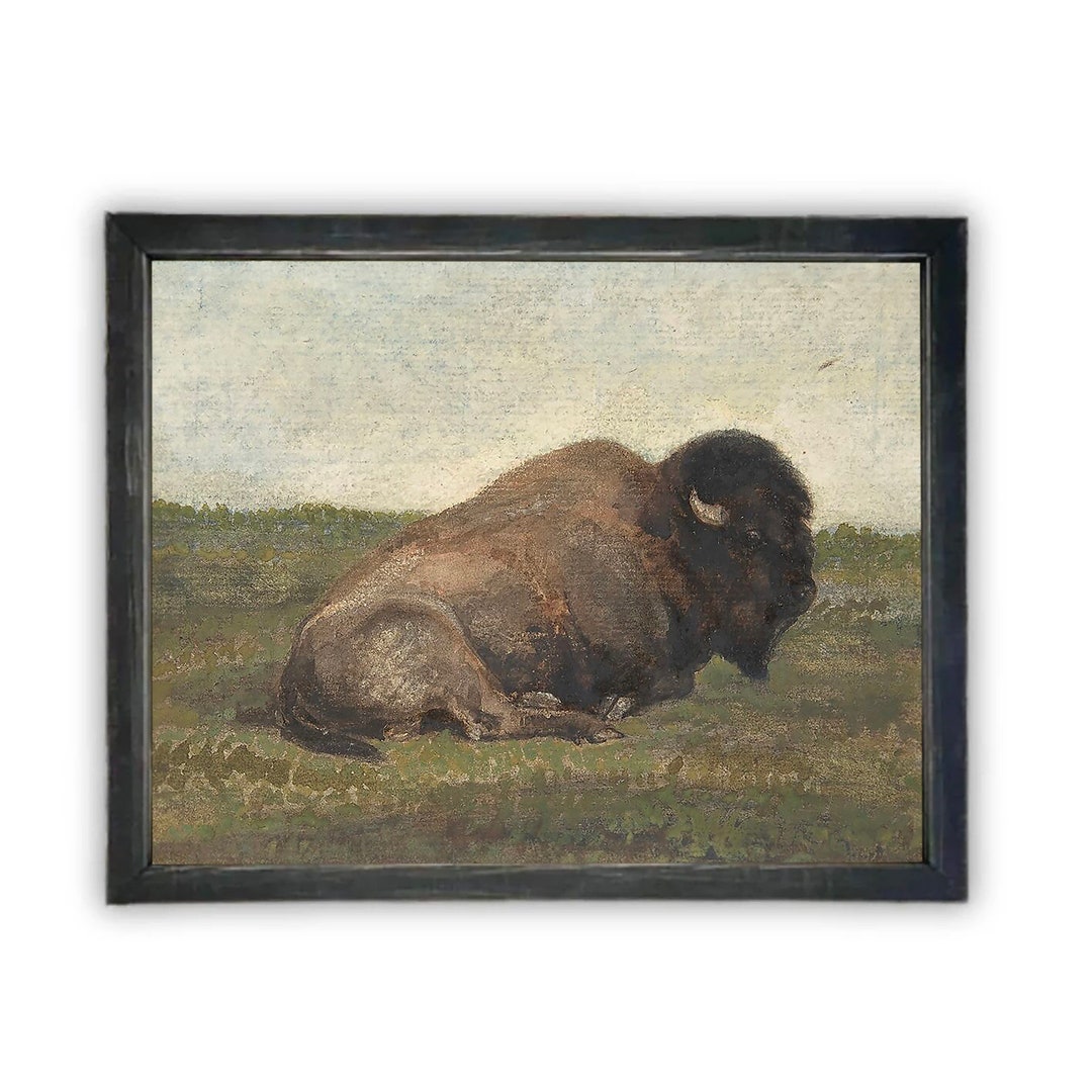Bison Lying Down | Vintage Prairie Oil Painting | Life in the West ...