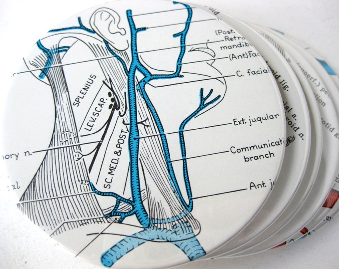 Anatomy Diagram Coasters // Recycled Vintage Medical Bookan - Etsy