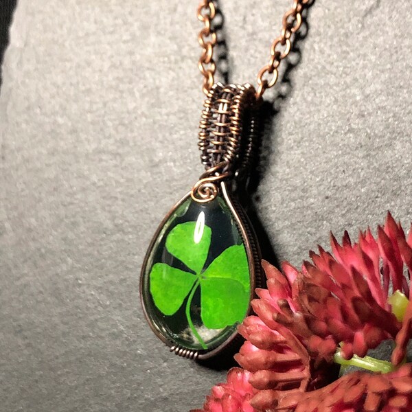 Dried 4 Leaf Clover - Etsy