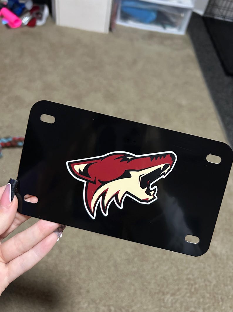 Custom Motorcycle License Plate: Personalized Vinyl Decal (7x4 Inches ...