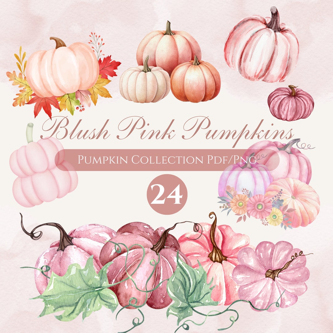 Pink Pumpkin Clipart, Pink Autumn Pumpkin Bundle, Fall Pumpkin Png ...