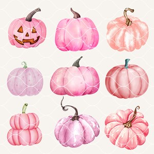 Pink Pumpkin Clipart, Pink Autumn Pumpkin Bundle, Fall Pumpkin Png ...