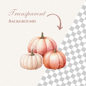 Pink Pumpkin Clipart, Pink Autumn Pumpkin Bundle, Fall Pumpkin Png ...