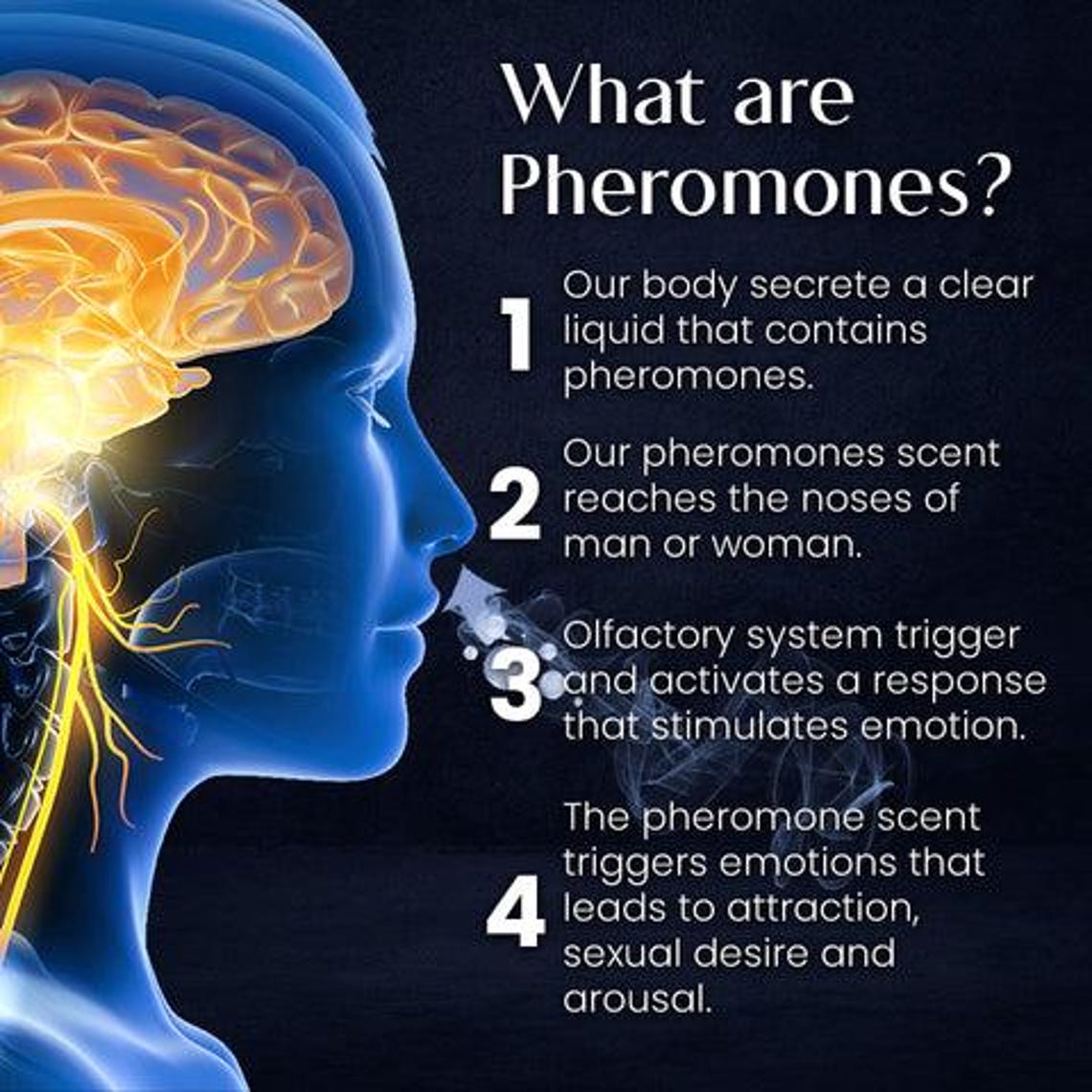 S1CK Pheromones TRUELOVE Premium Pheromone Spray Fragrance for ...