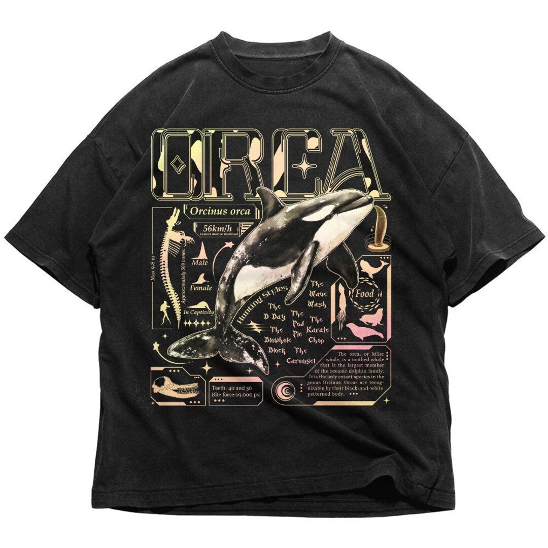 Vaness the Orca Whale Png, Ocean Anatomy Whale Biology Marine Biologist ...
