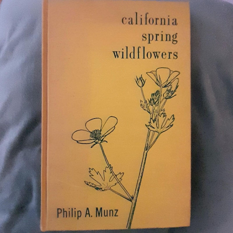 Wildflower Illustrated Book - Etsy
