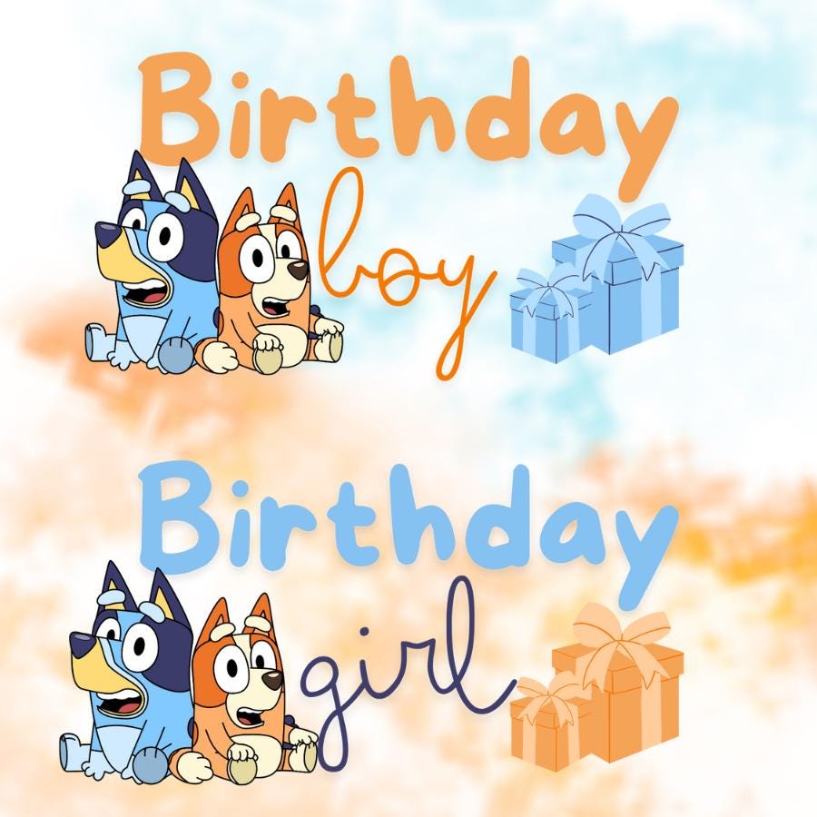 Bluey Birthday Digital Download Birthday Boy & Girl Pngs Bluey Party ...