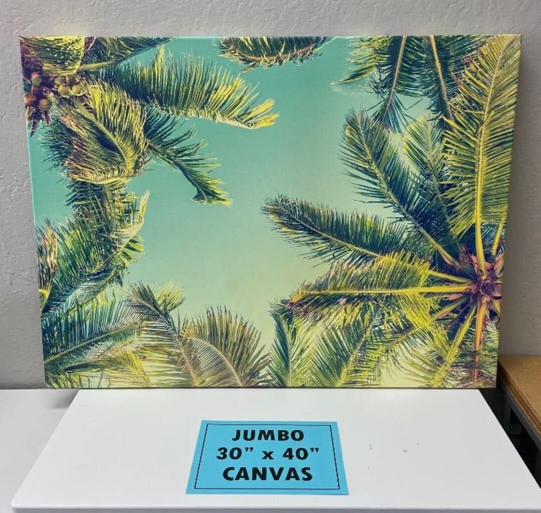 Jumbo 30 X 40 Palm Tree Tropical Leaf Wall Art Canvas Print, Semi-gloss ...