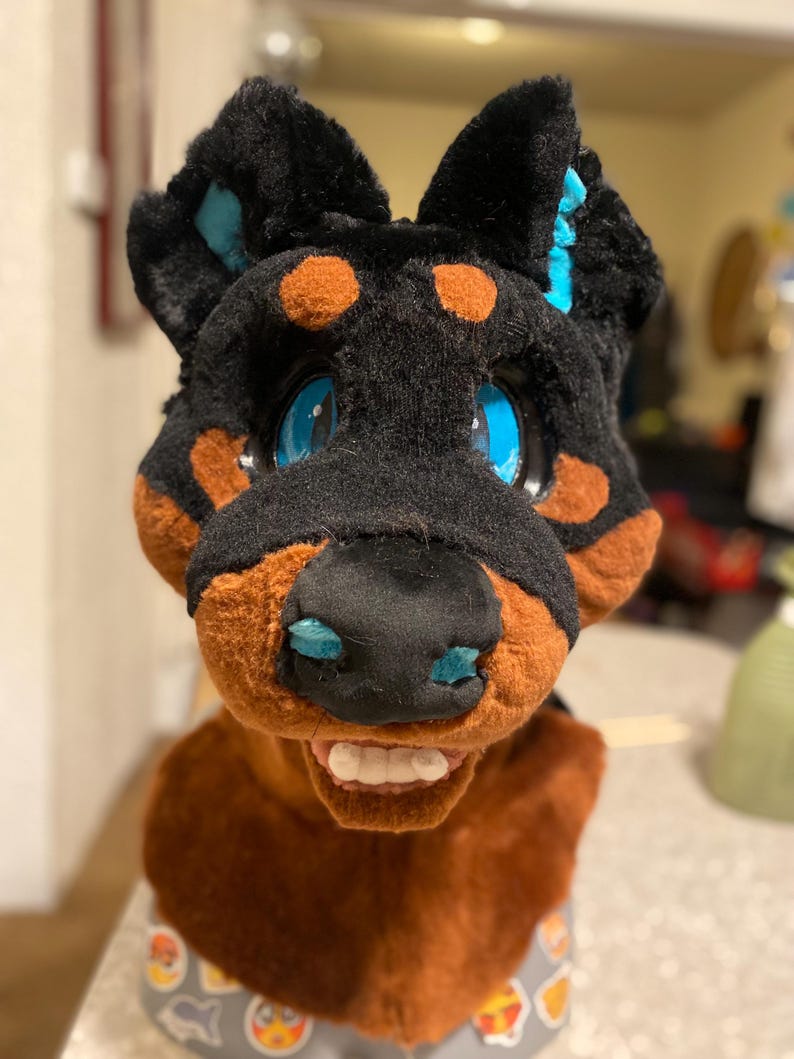 Dog Fursuit Head Premade (rottweiler/pittbull) - Etsy
