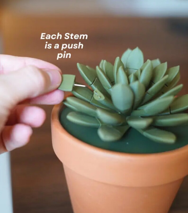 Succulent Plant Push Pins 3D Printed Brown Thumb Green Thumb - Etsy