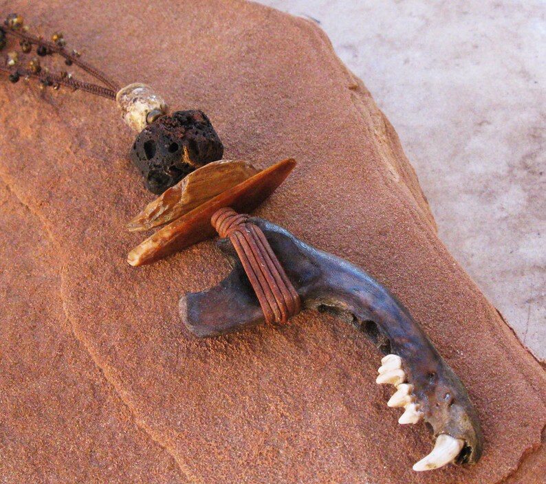 RESERVED Ancient Raccoon Jaw Bone Fossil Ivory Antique | Etsy