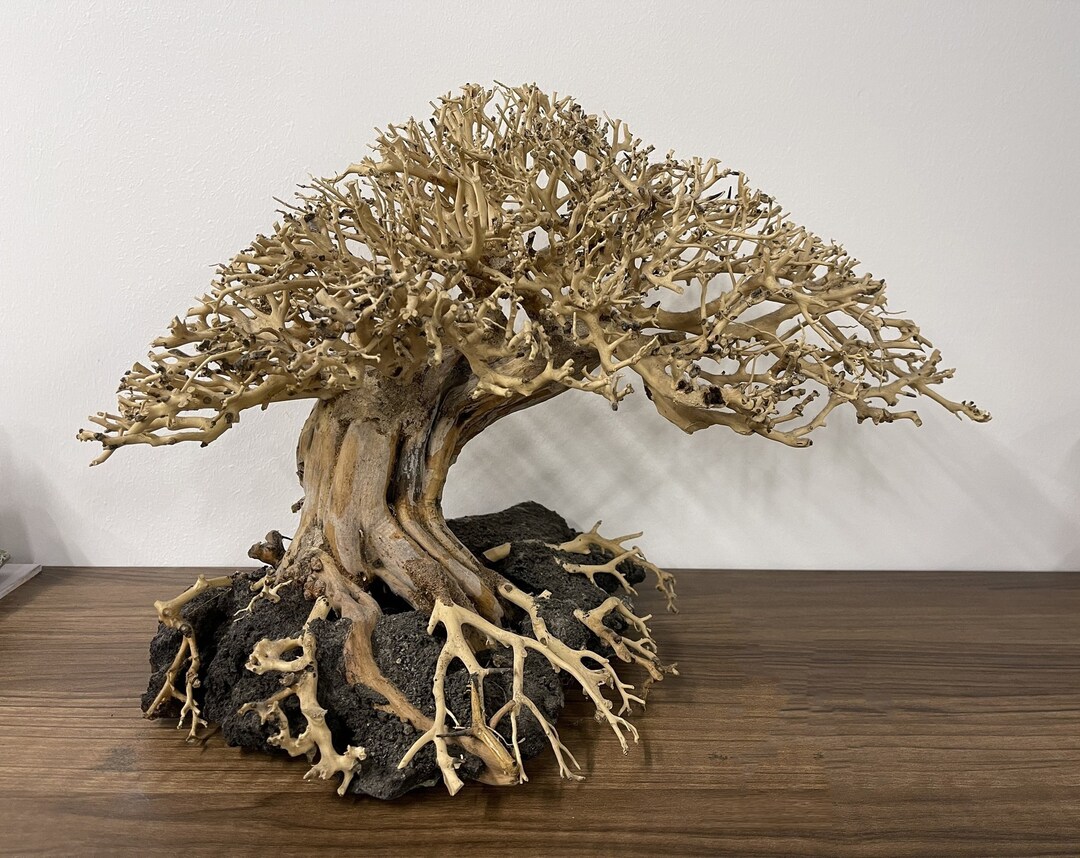 Bonsai Aquarium Aquascape Driftwood Bonzai Tree Decor Fish Tank ...