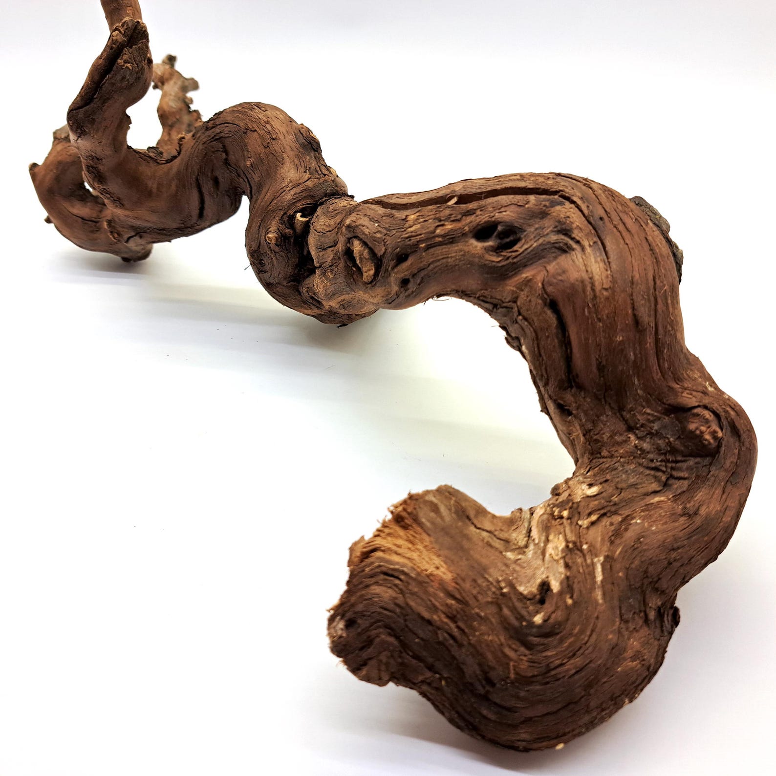 Large Natural Wood Branch, Terrarium Decor Natural, Vine Wood Branch ...