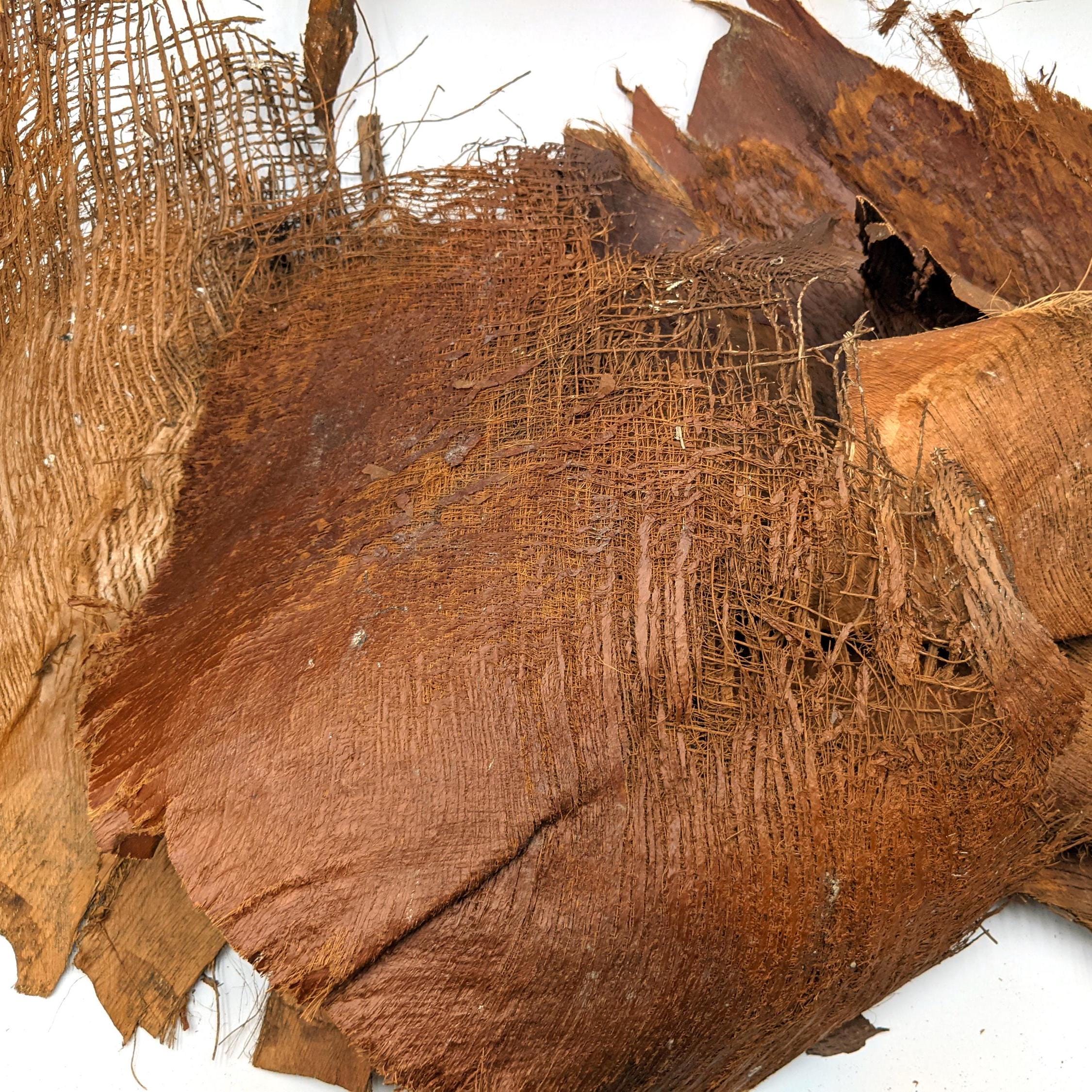 Palm Bark Fiber, Dried Palm Bark, Natural Palm Bark, Bark Pieces for ...