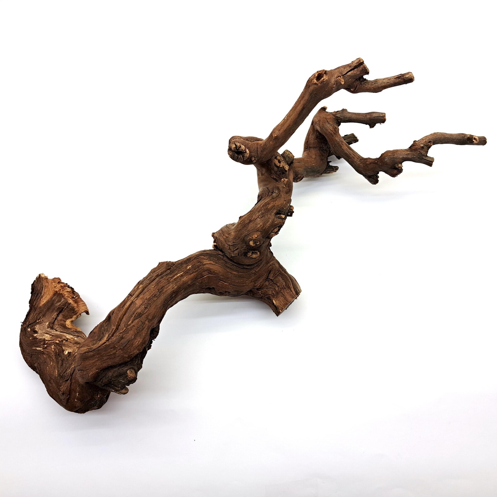 Large Natural Wood Branch, Terrarium Decor Natural, Vine Wood Branch ...