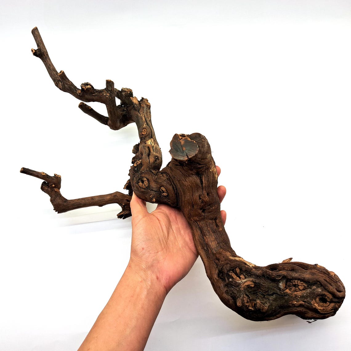 Large Natural Wood Branch, Terrarium Decor Natural, Vine Wood Branch ...