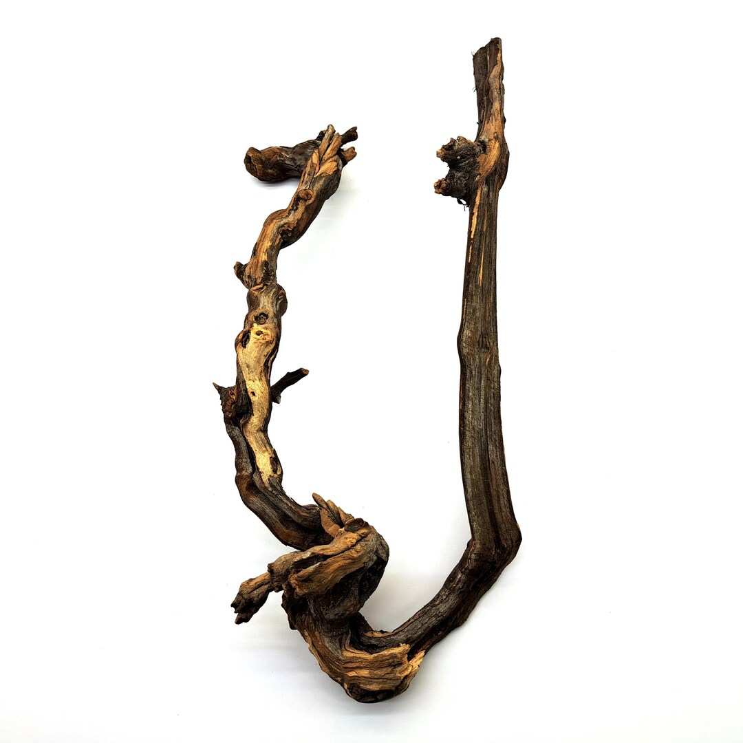 Grapewood Branch Big, Vine Wood Branch, Large Grapewood Piece ...
